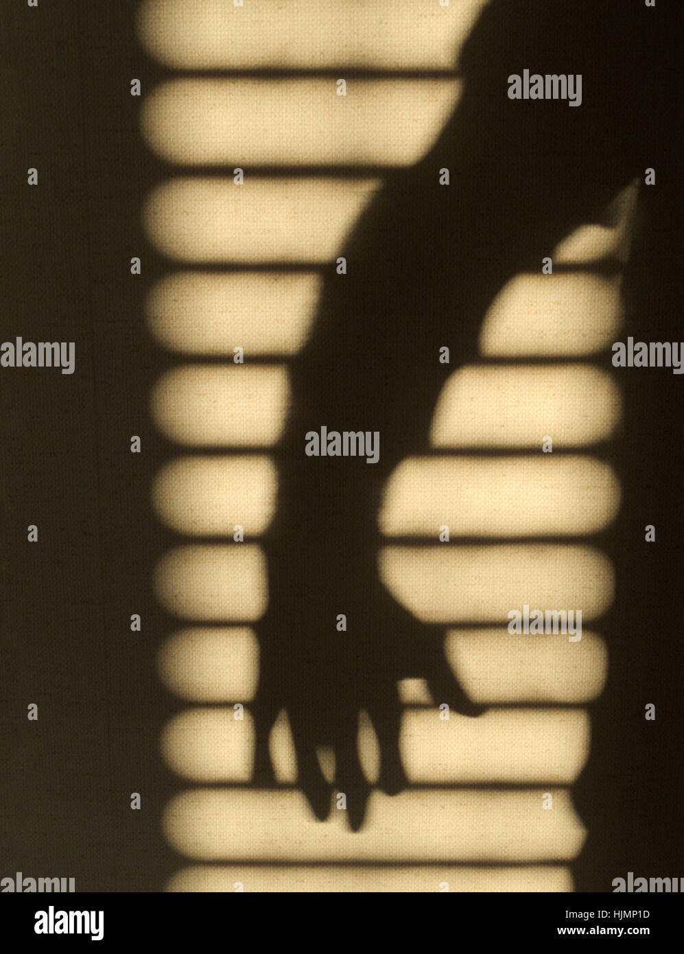 man's arm shadow Stock Photo - Alamy