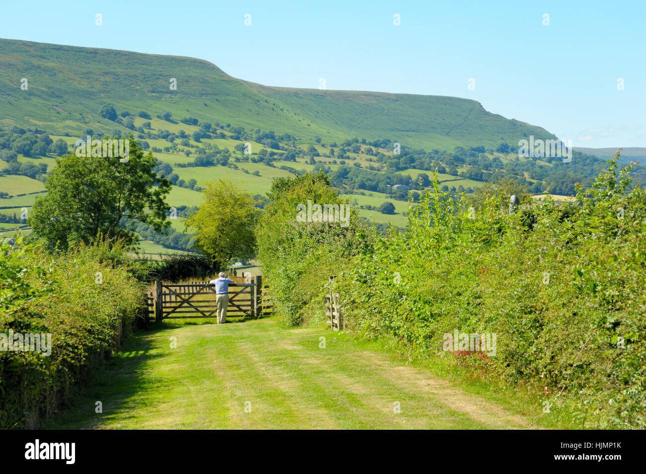 Hatterrall Hill, a man leaning on a gate admiring the view Stock Photo ...