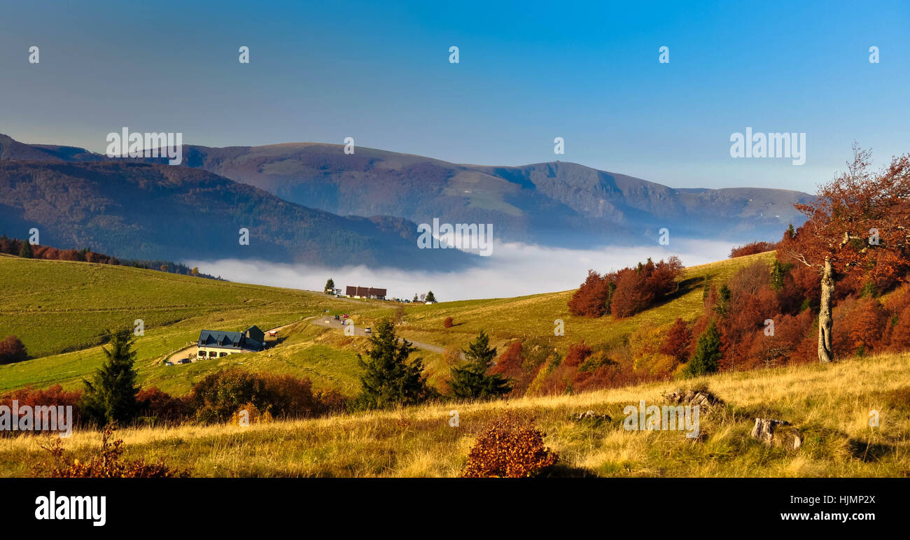 Landscape in the Vosges mountains Stock Photo - Alamy