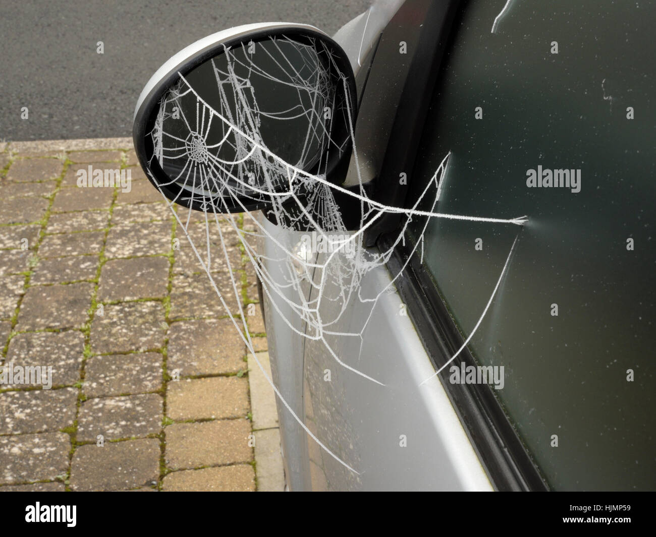 Icy Cobweb on a Car Stock Photo - Alamy