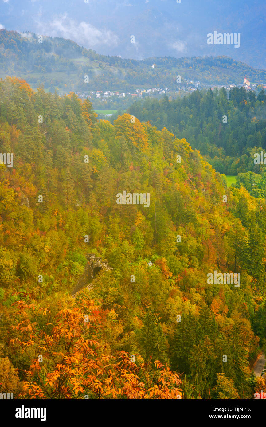 The mountain autumn landscape with colorful forest in Slovenia Stock ...