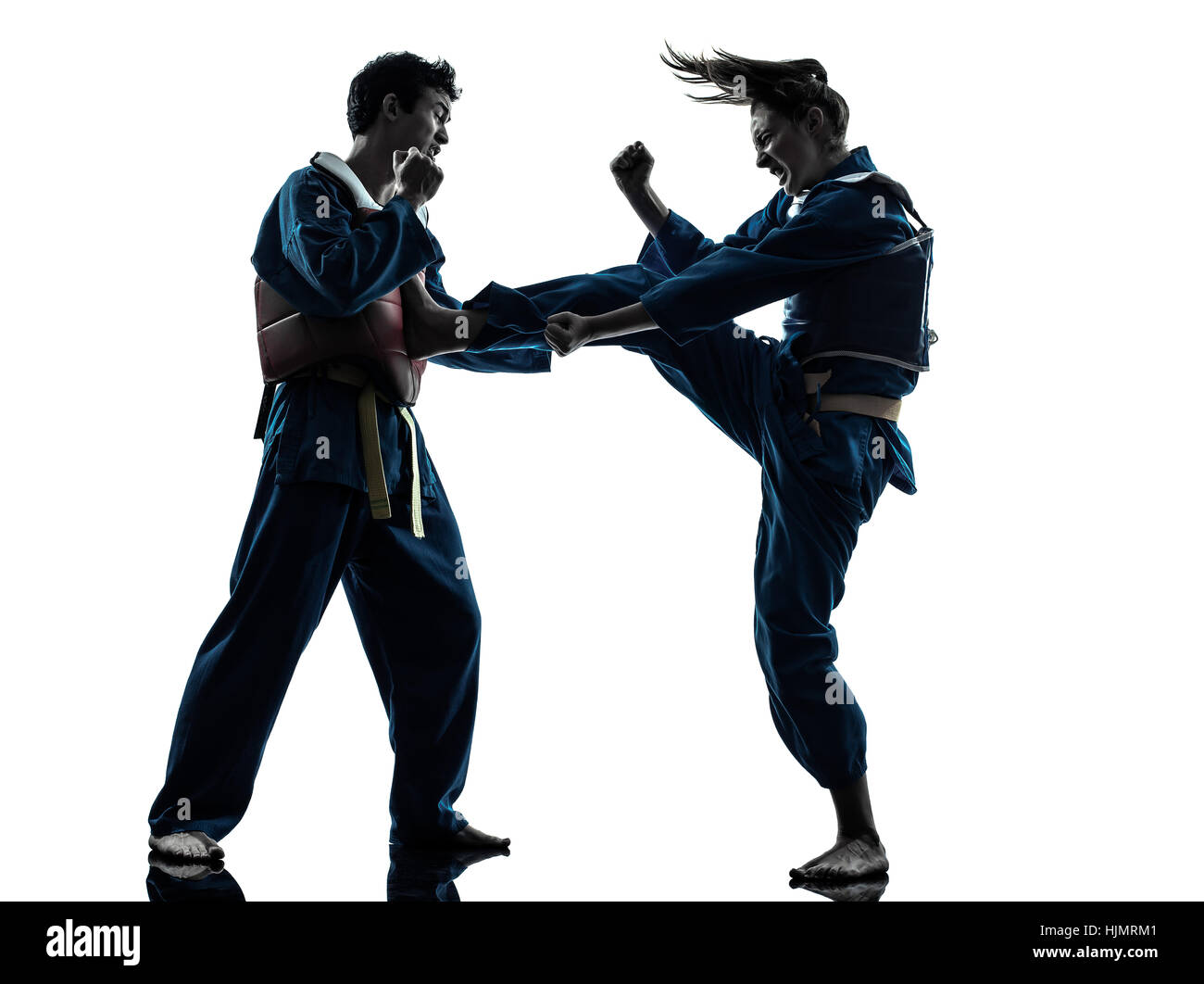 one caucasian man woman couple exercising karate vietvodao martial arts ...