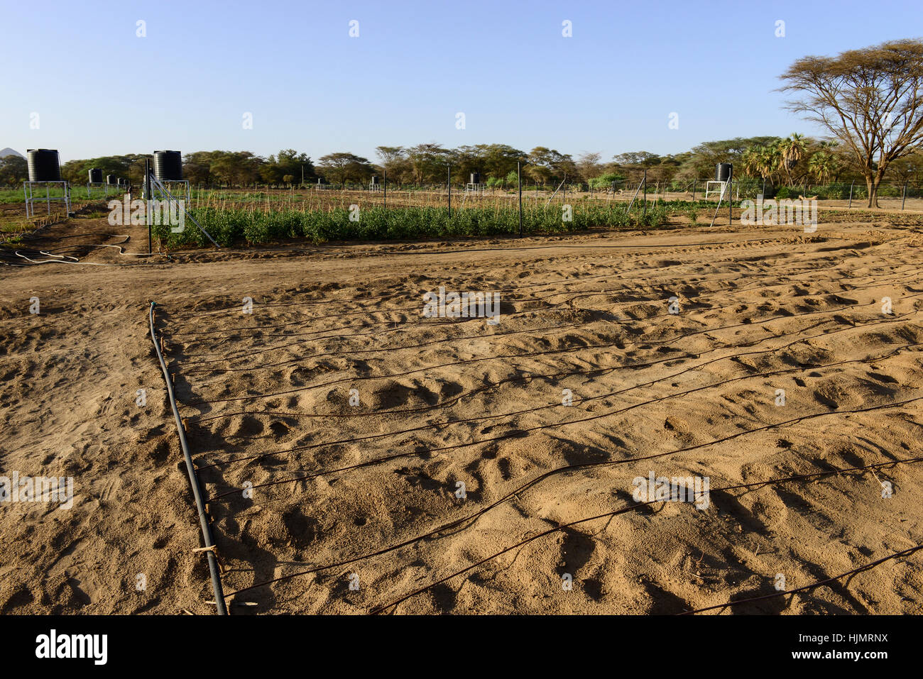 Drip irrigation system africa hi-res stock photography and images - Alamy