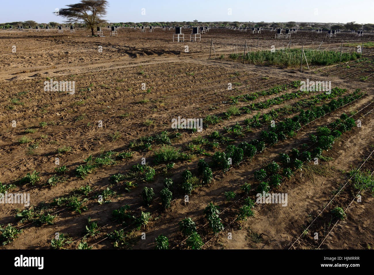 Drip irrigation system africa High Resolution Stock Photography and ...