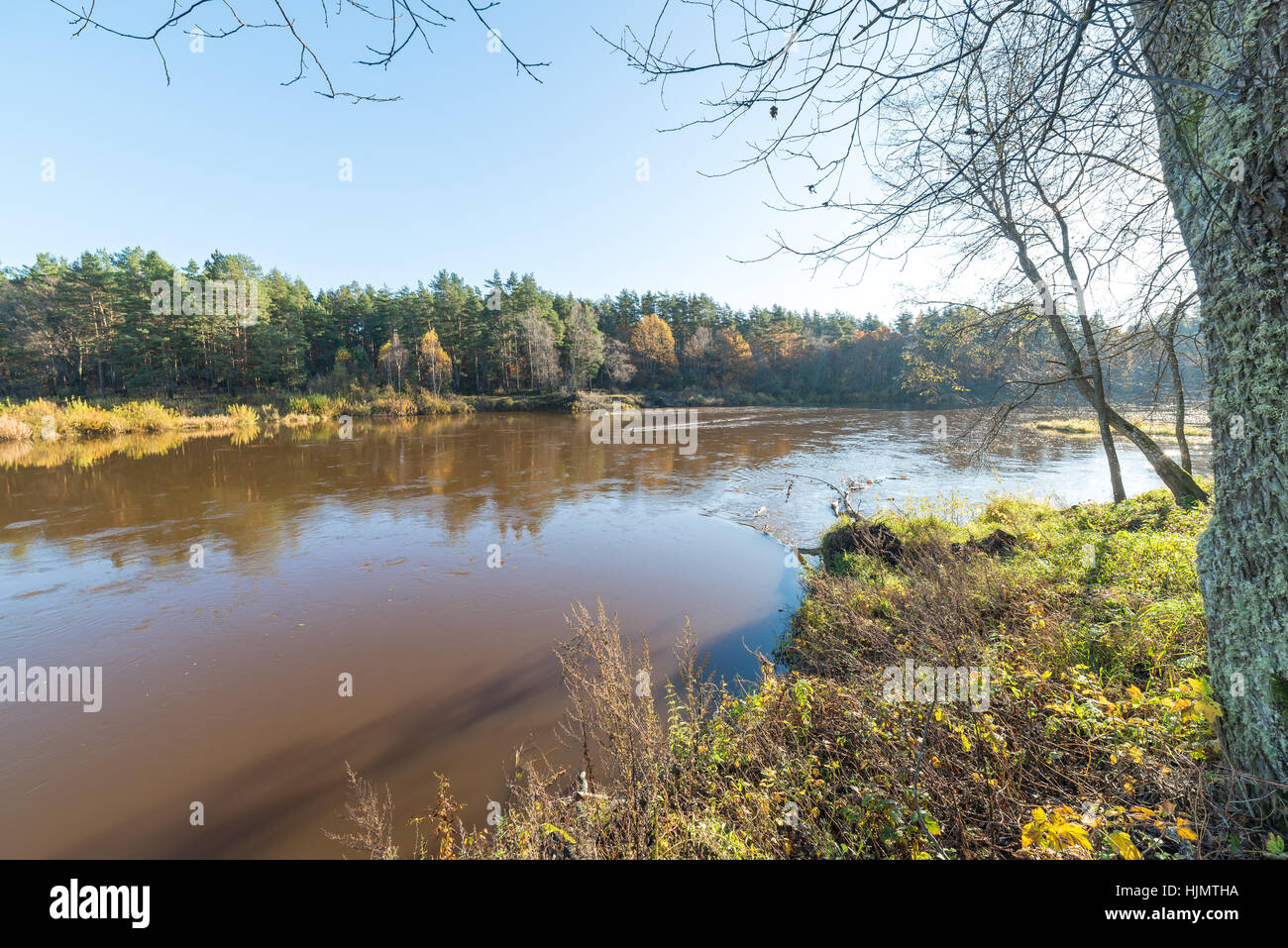 scenic autumn colored river in country with trees and reflections Stock ...