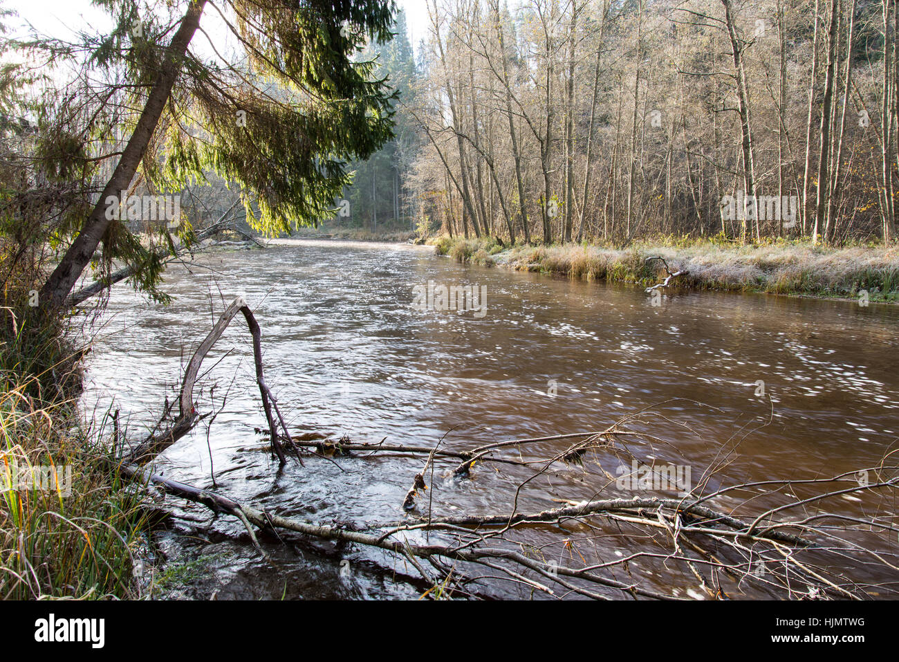 scenic autumn colored river in country with trees and reflections Stock ...