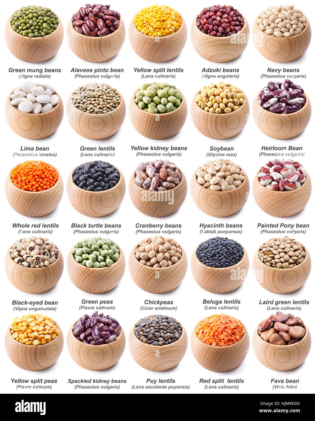 legumes collection isolated on white Stock Photo - Alamy