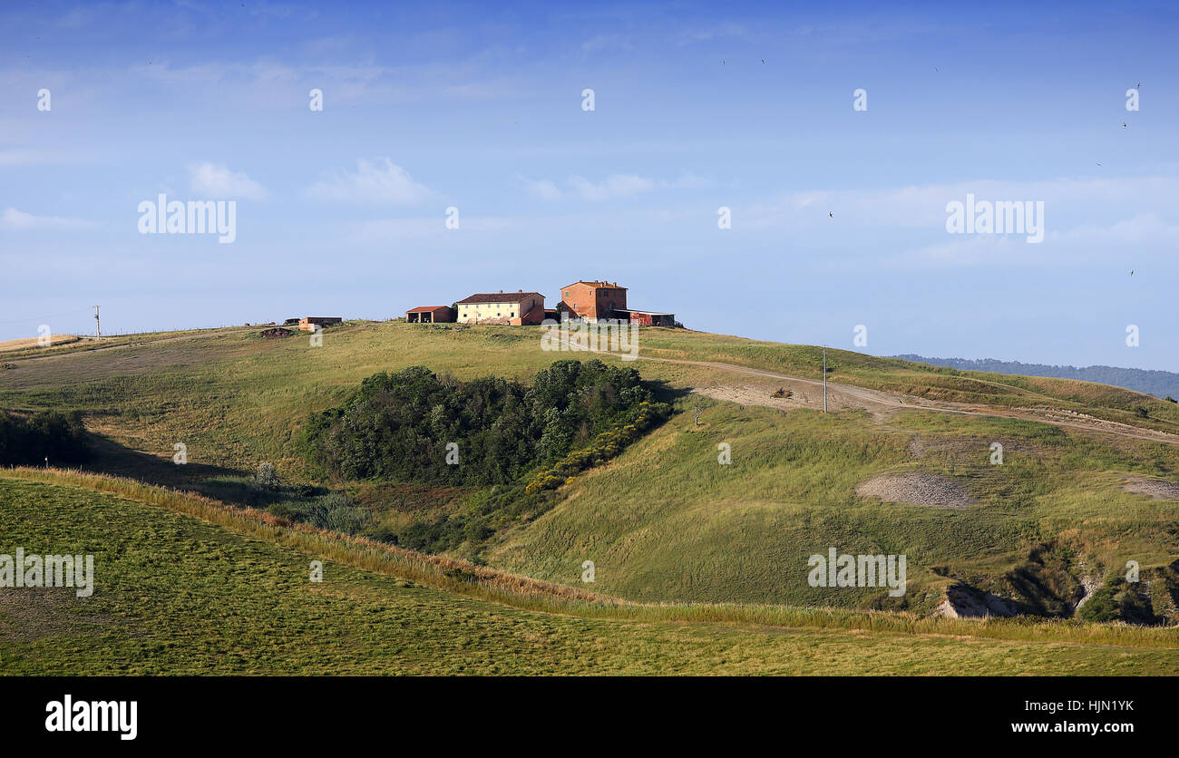 scenic landscapes of Crete Senesi, siena, tuscany, italy Stock Photo ...