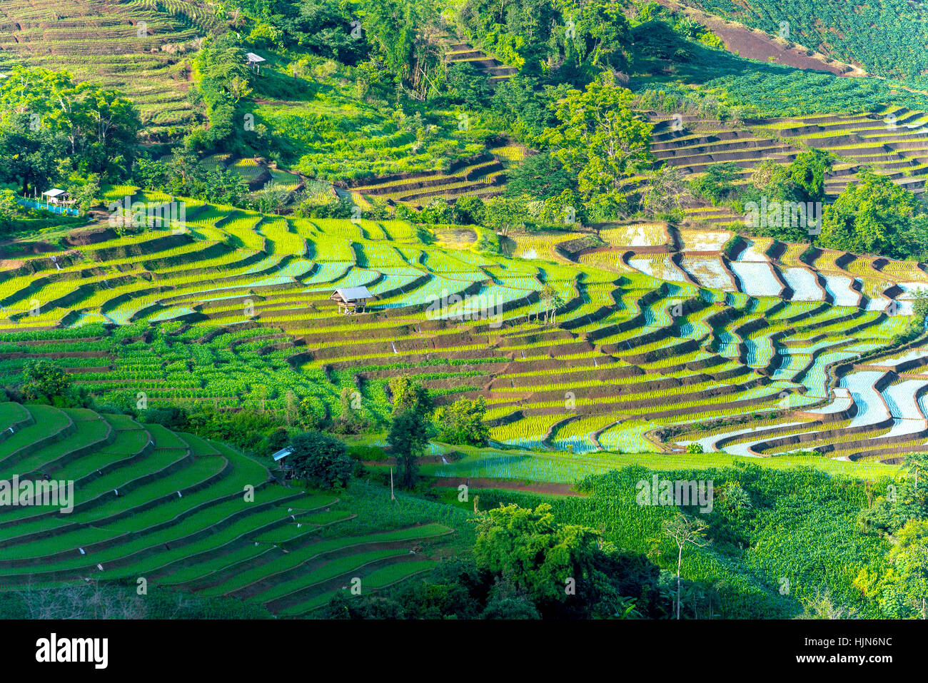 Huts over the rice field on mountain at Thailand Stock Photo - Alamy