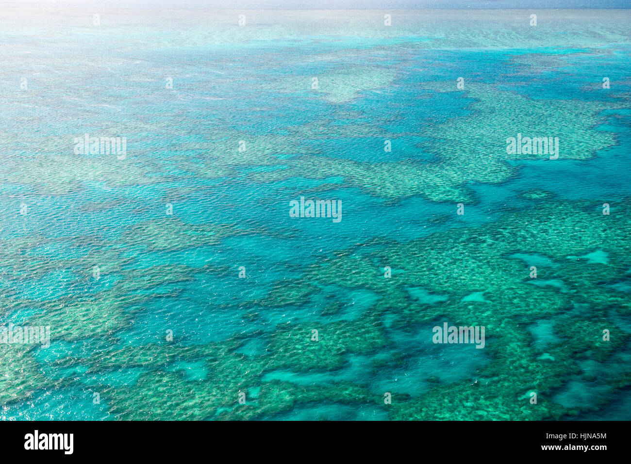 Circular Reef Stock Photos & Circular Reef Stock Images - Alamy
