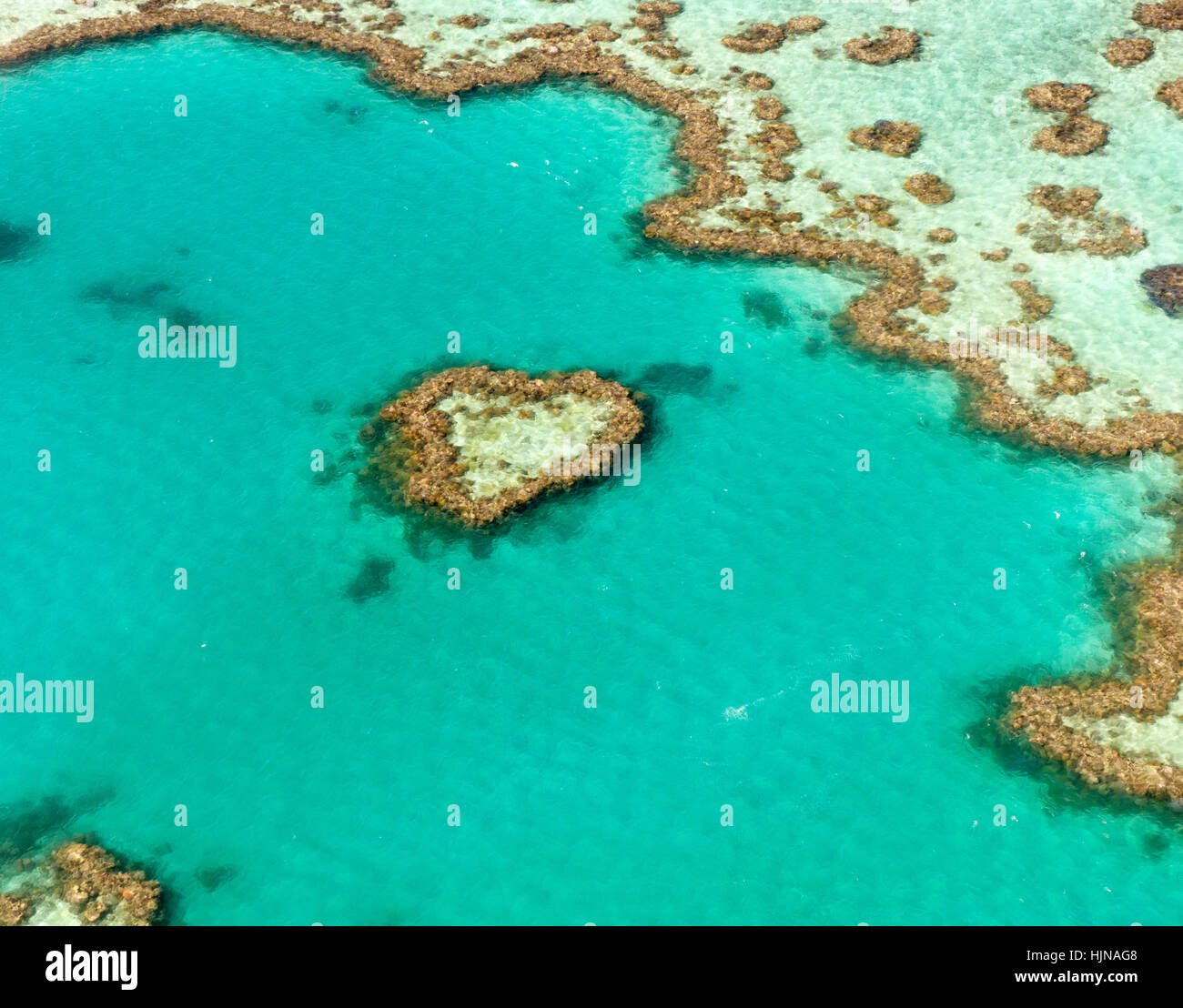 Aerial image of the famous Heart Reef which is part of the Great ...