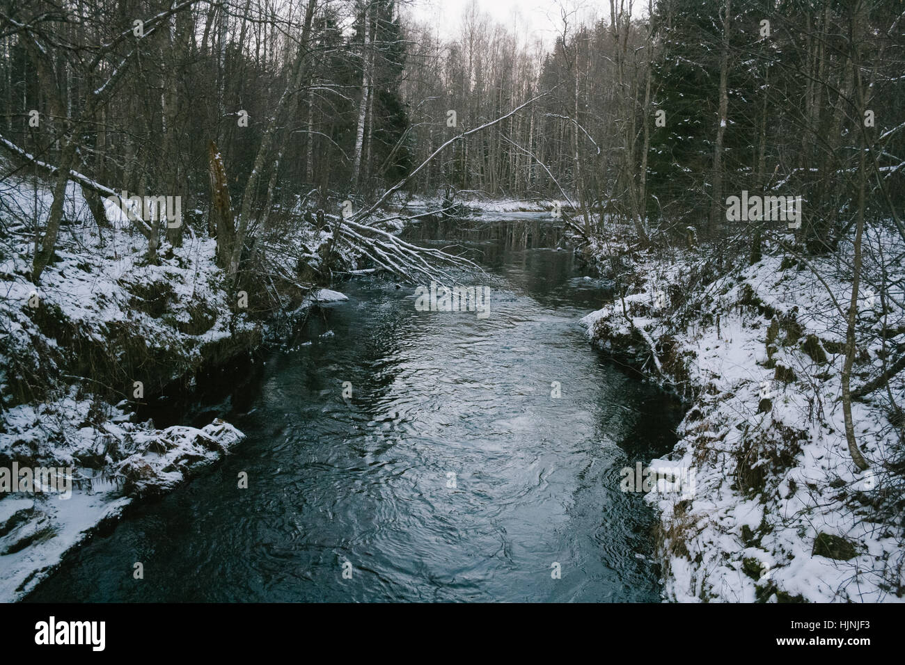 forest waterfall in winter Stock Photo - Alamy