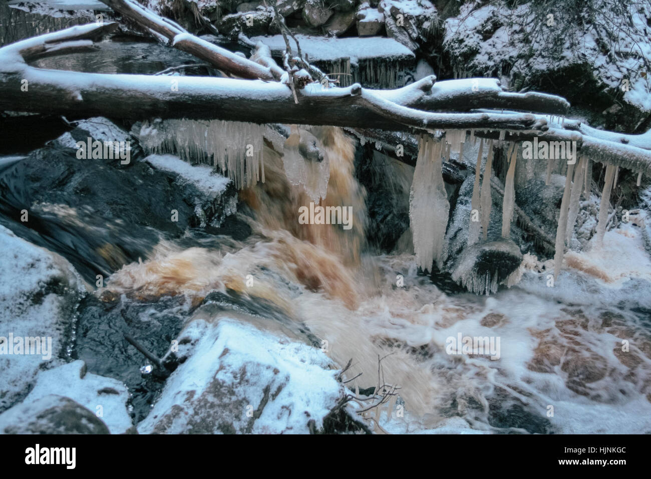 forest waterfall in winter Stock Photo - Alamy