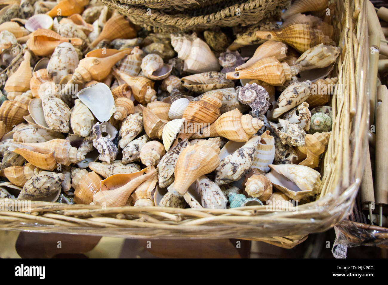 Various types of little seashells in a straw basket Stock Photo - Alamy