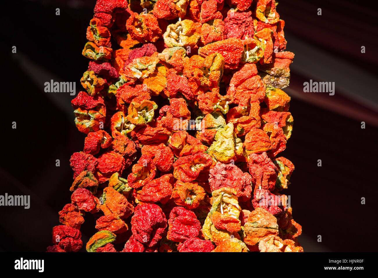 Bundles of red peppers dry in the sun Stock Photo - Alamy