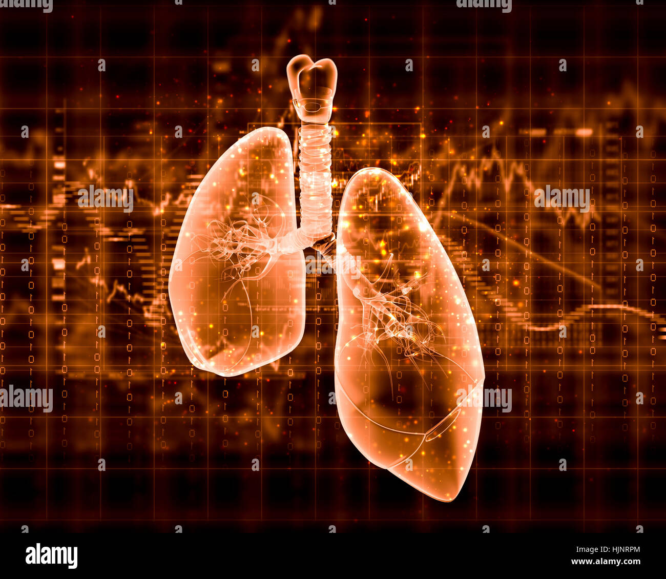 Schematic illustration of human lungs with the different elements on a ...