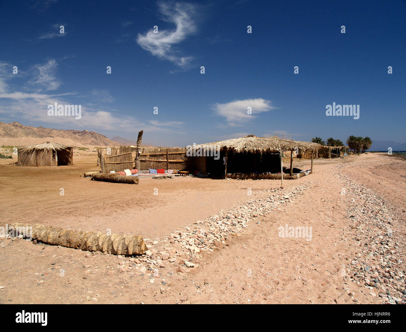beach with palm trees in dahab egypt Stock Photo - Alamy