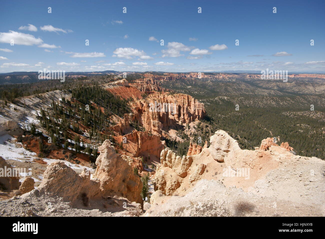 Black birch canyon hi-res stock photography and images - Alamy