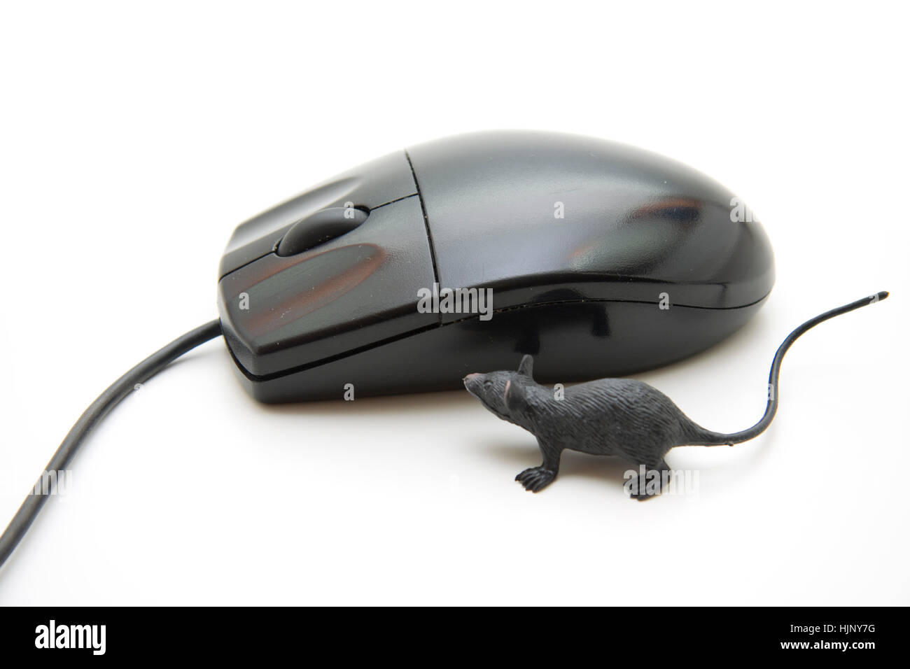mouse, computer mouse, cable, current conduction, computers, computer ...
