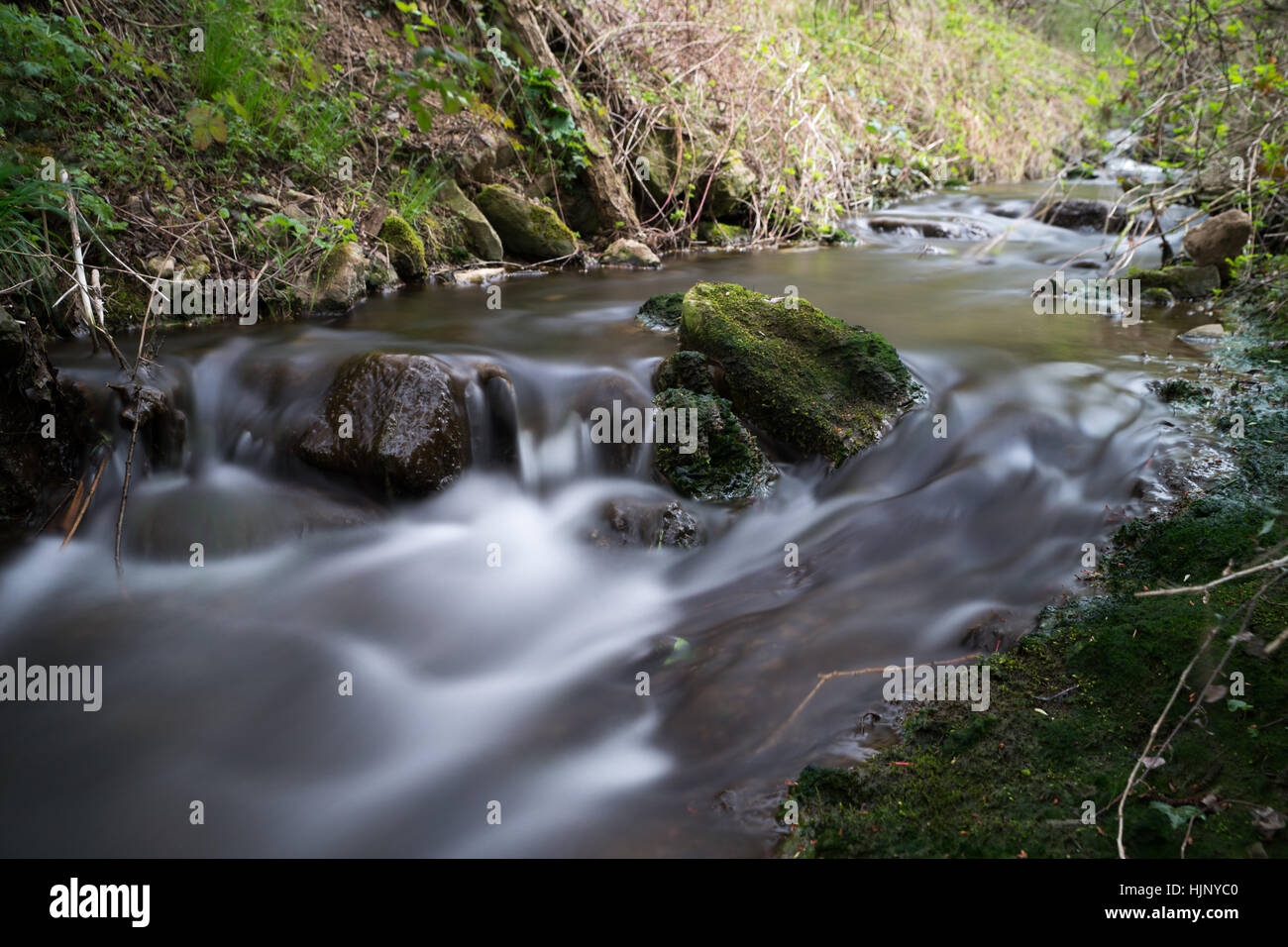 the little stream Stock Photo - Alamy
