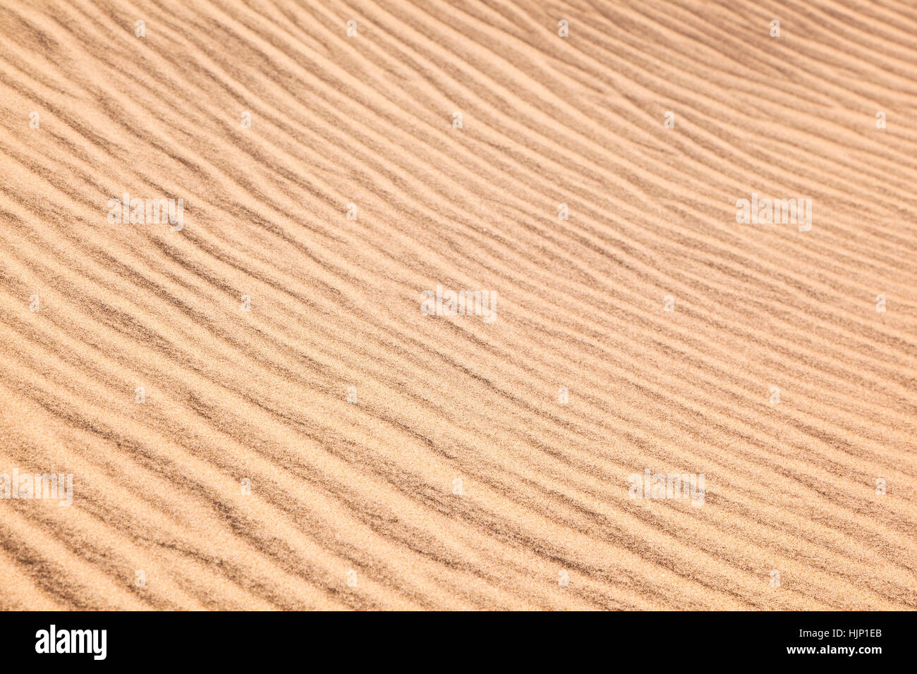 beach, seaside, the beach, seashore, waves, america, dune, pattern ...