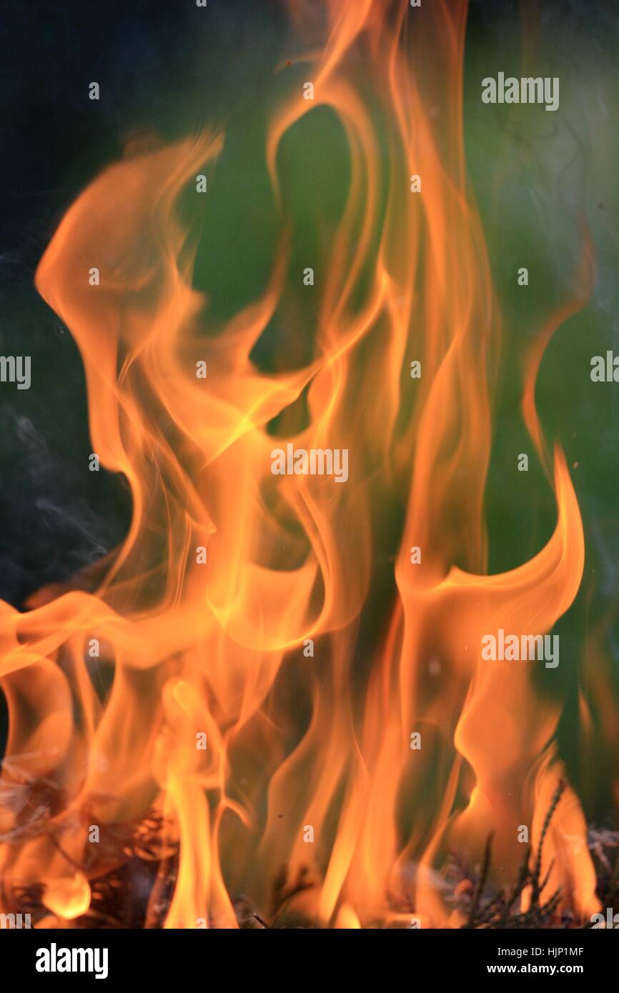 danger, fire, conflagration, flame, forest fire, burn, dangerous ...