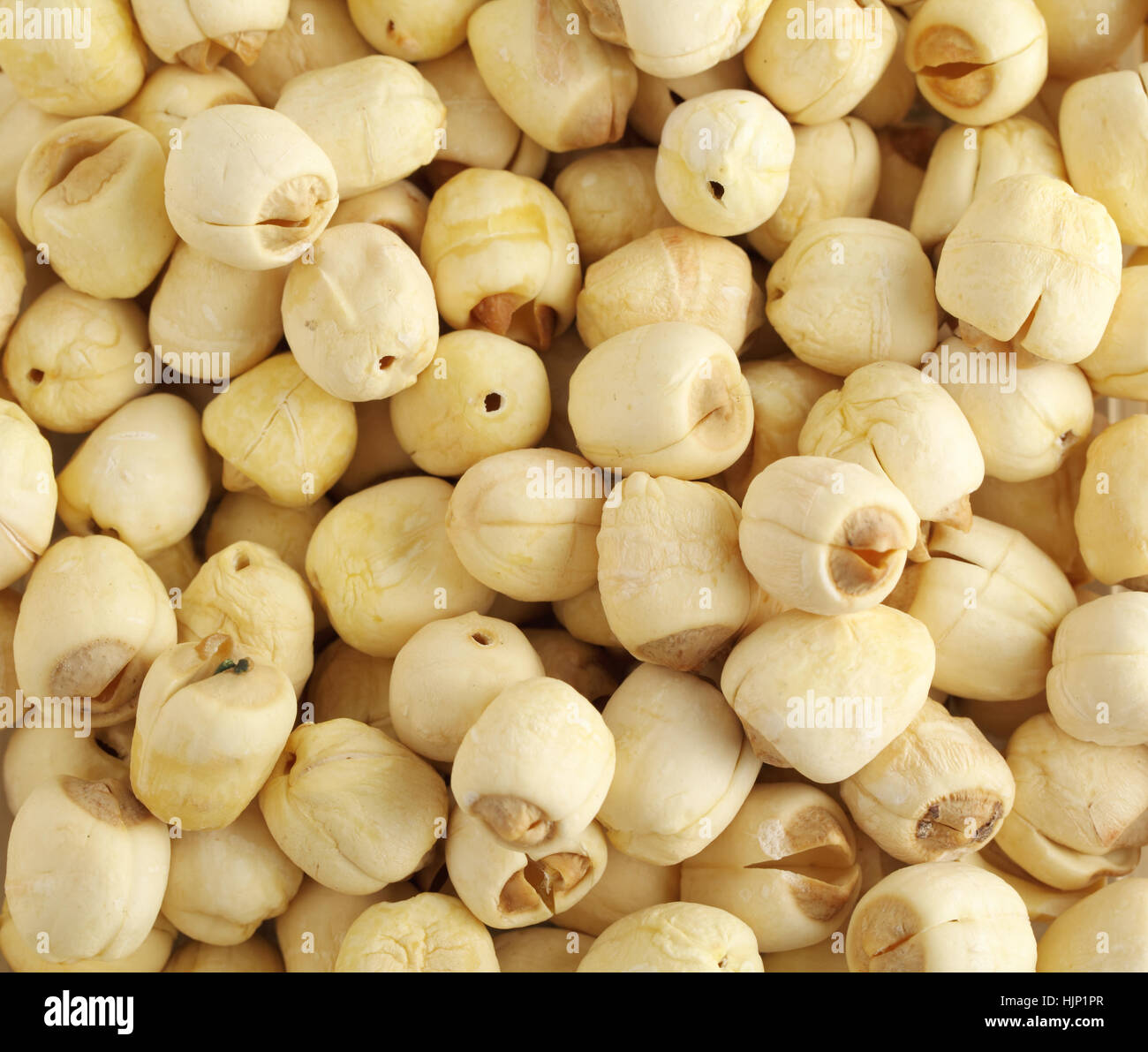 food, aliment, health, agriculture, farming, lily, vegetable, dry ...