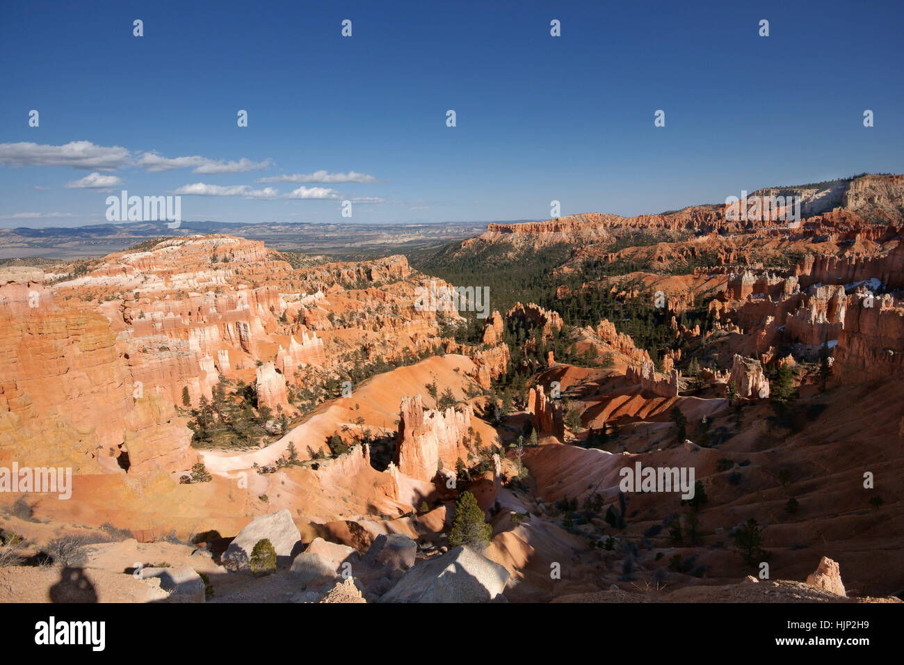 national park, usa, america, amphitheater, amphitheatre, tree, trees ...