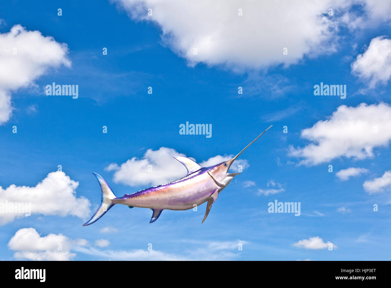 restaurant, food, aliment, fish, tuna, sign, pictogram, symbol ...