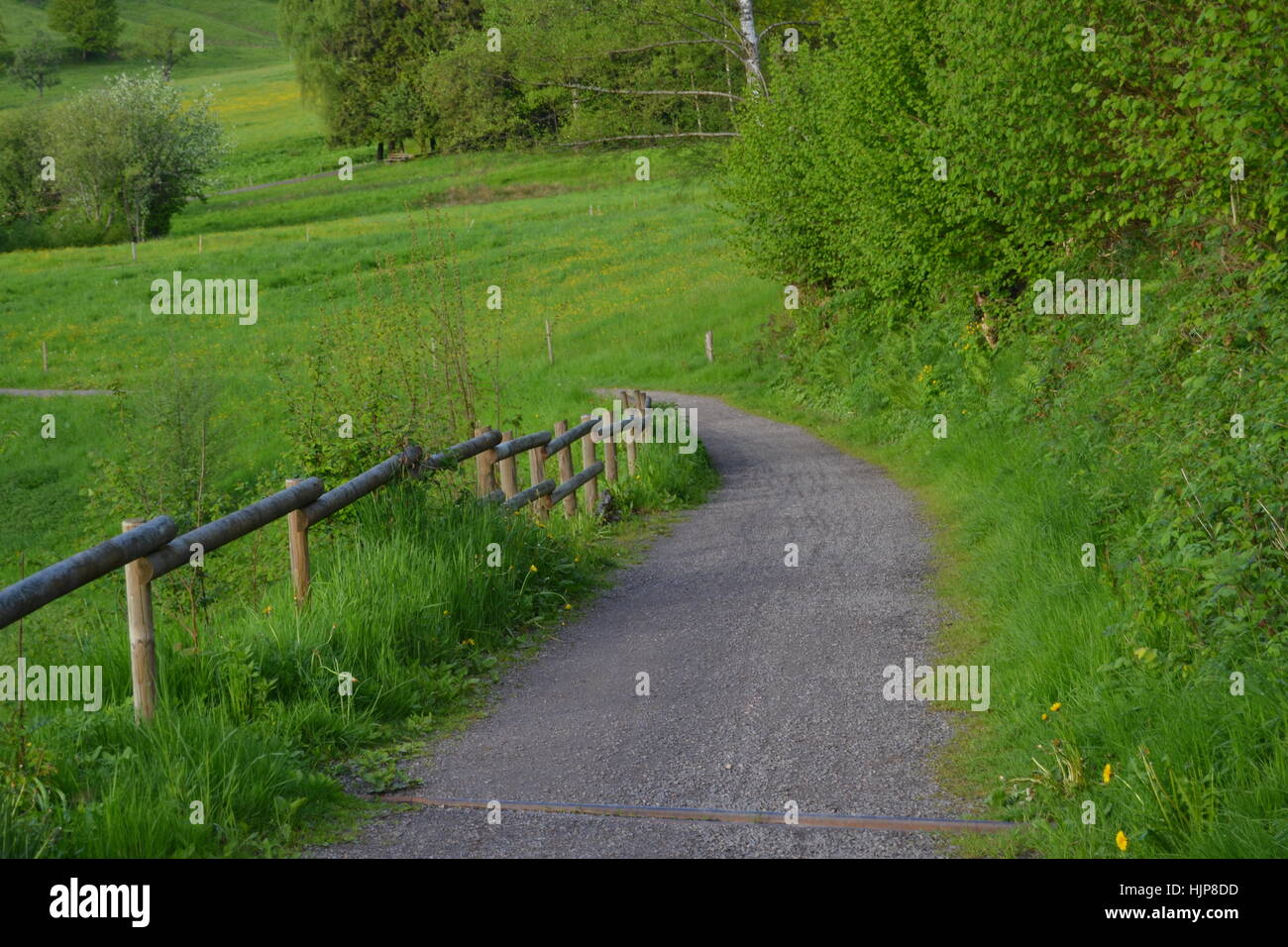 railing, fence, fence in, fencing, path, way, scenery, countryside ...
