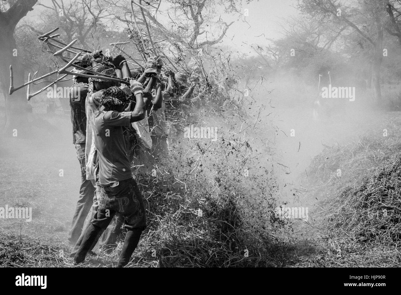 Peanuts senegal hi-res stock photography and images - Alamy