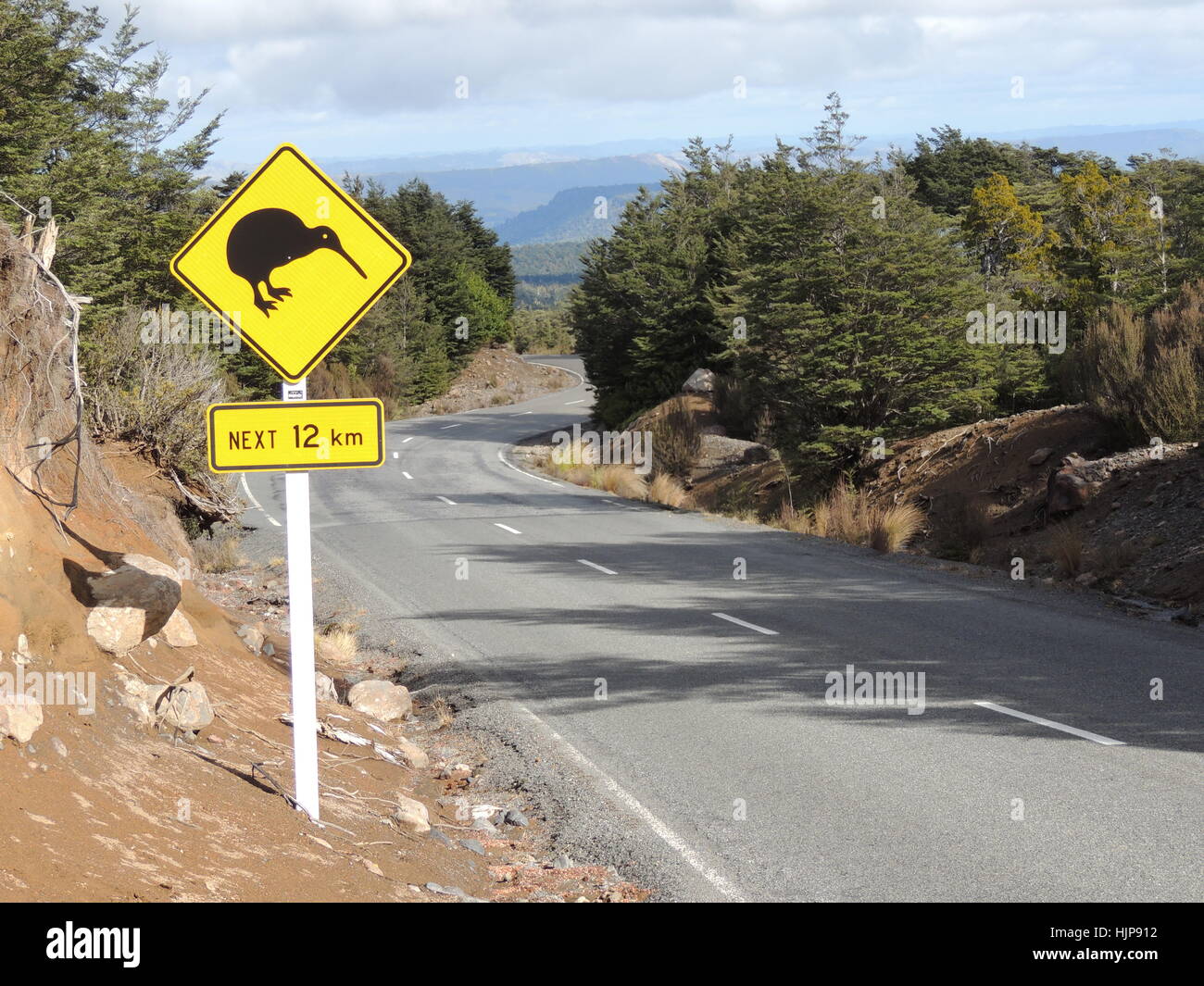 sign, signal, traffic sign, signpost, street, road, sign, signal, bird ...