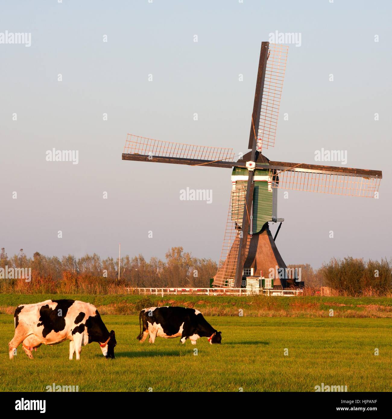 travel, monument, environment, enviroment, animal, agriculture, farming ...