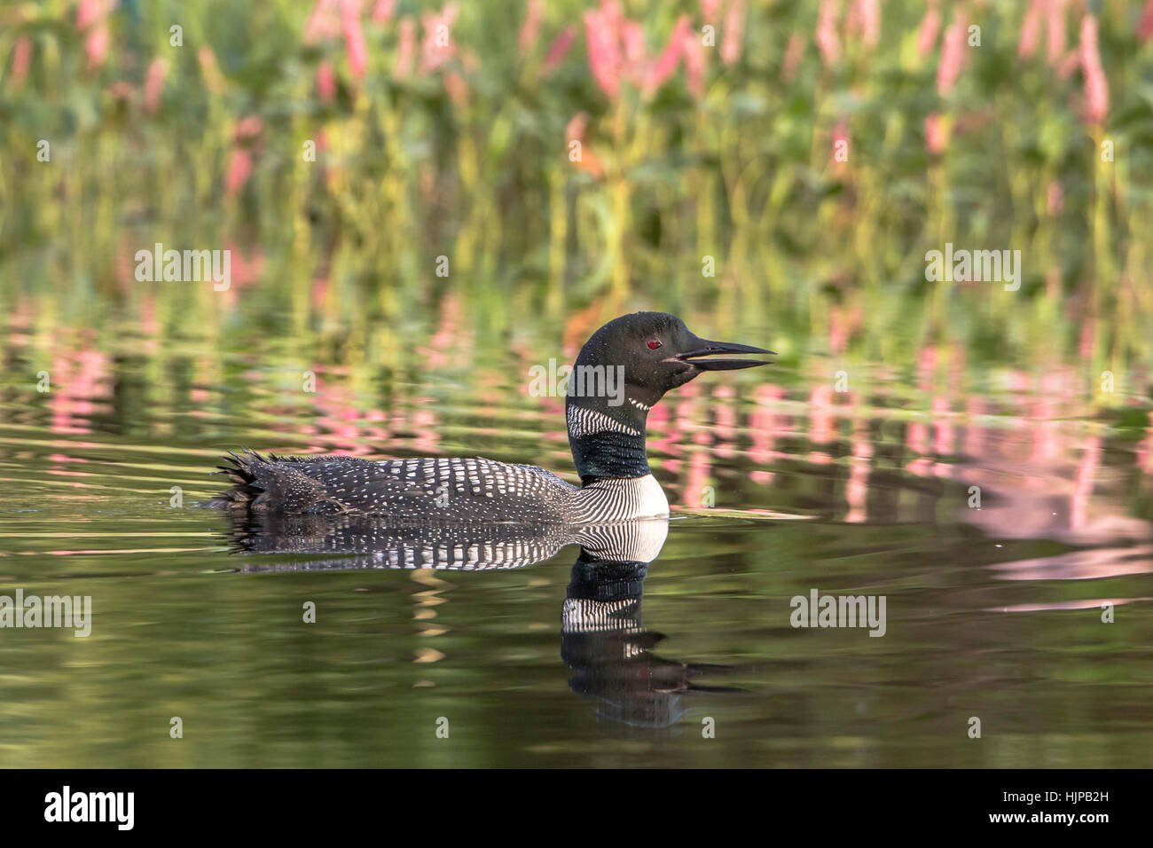 Water bill icon hi-res stock photography and images - Alamy