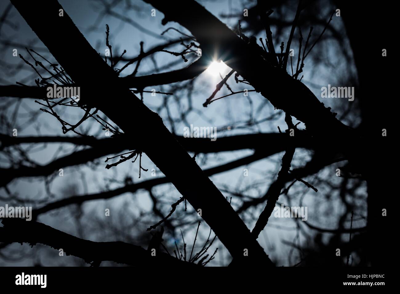 Sutton Park is located 6 miles on north of downtown Sutton Coldfield ...