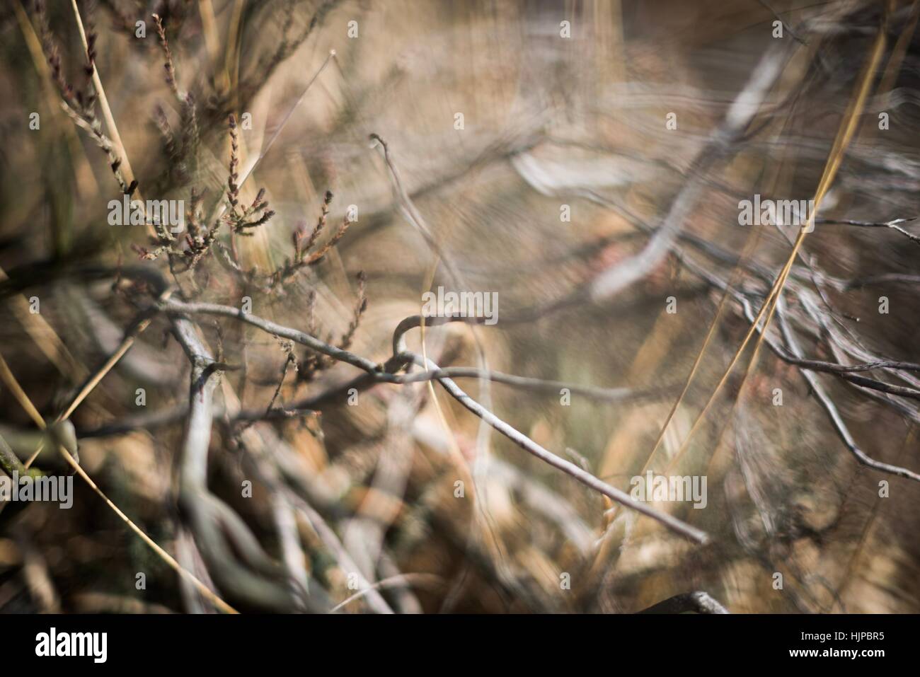 Sutton Park is located 6 miles on north of downtown Sutton Coldfield ...