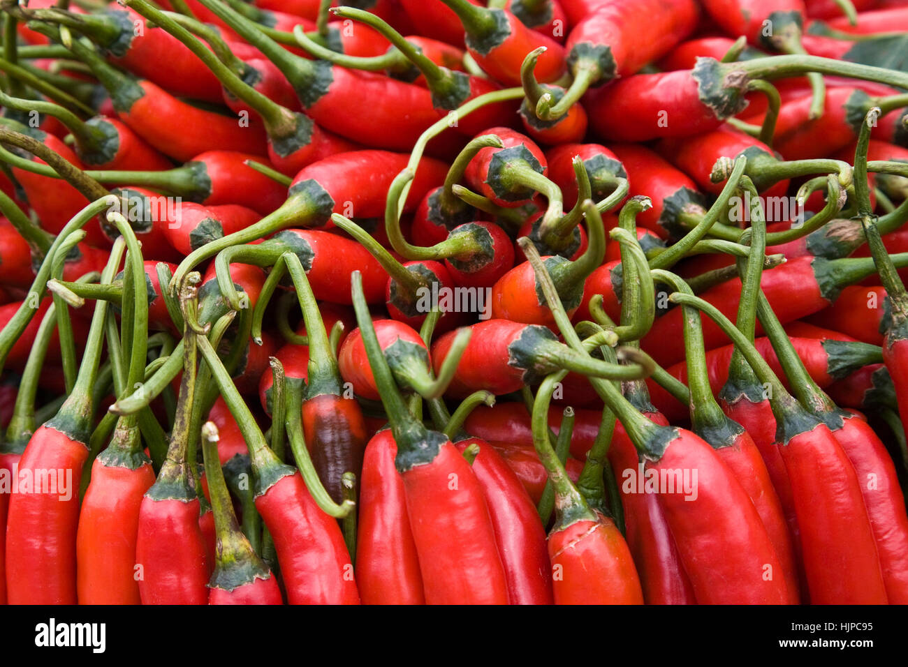 food, aliment, pepper, health, garden, agriculture, farming, bali ...