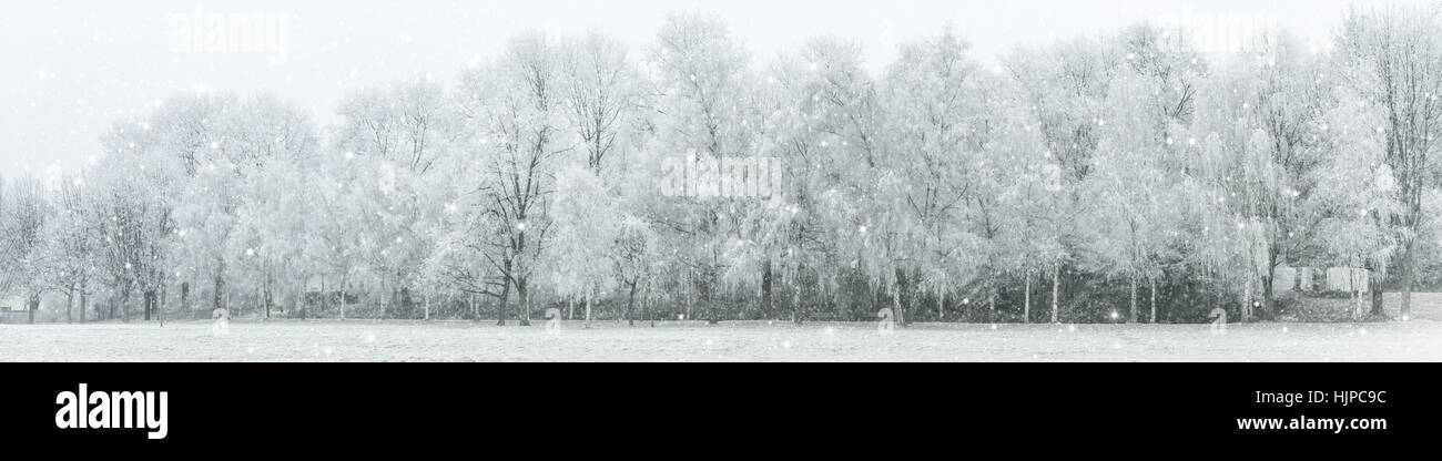 Panoramic image of the winter landscape Stock Photo - Alamy
