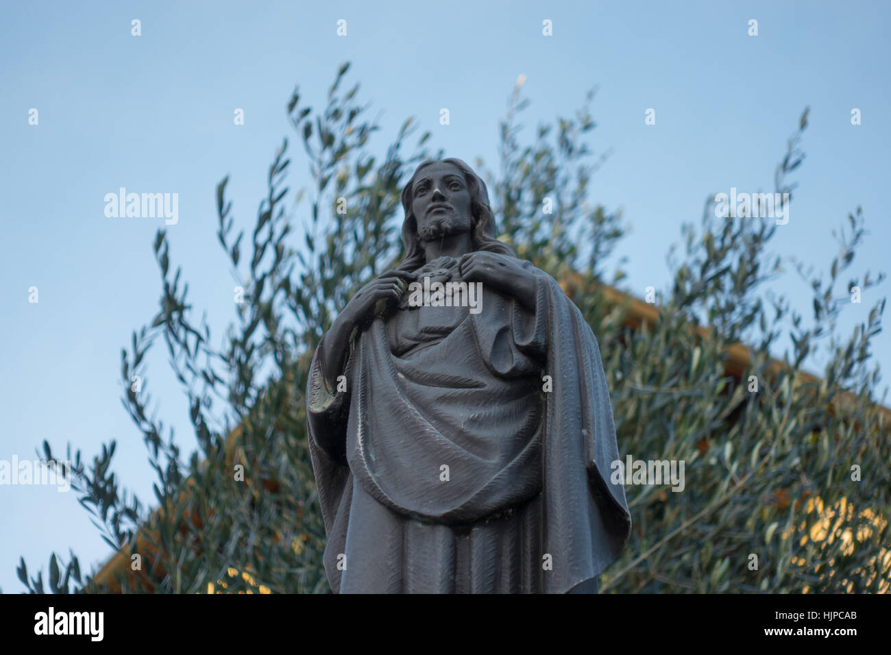 Jesus Christ statue with olive tree in the background Stock Photo - Alamy