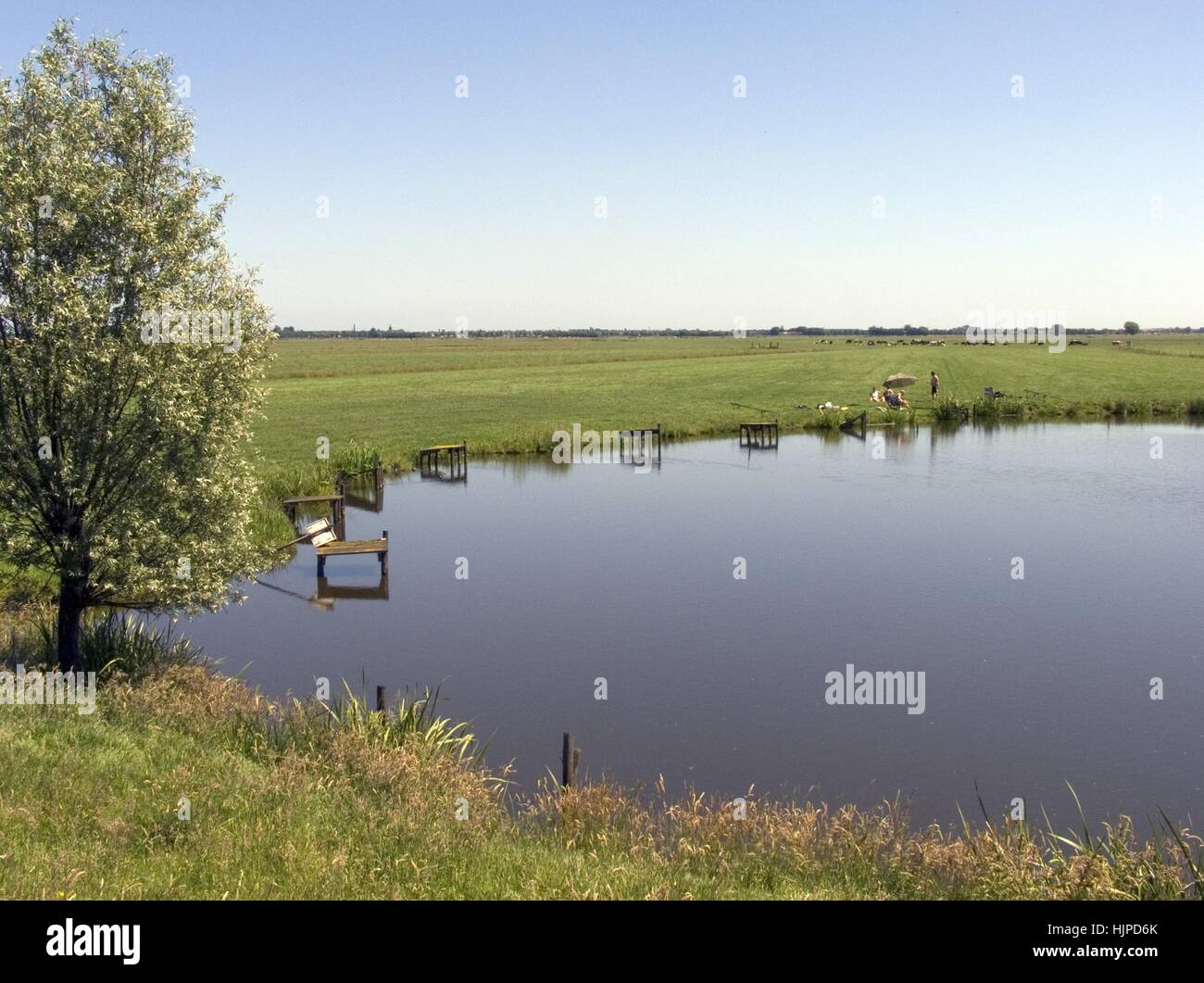 fish, holland, netherlands, fishing, weekend, fisherman, fresh water ...