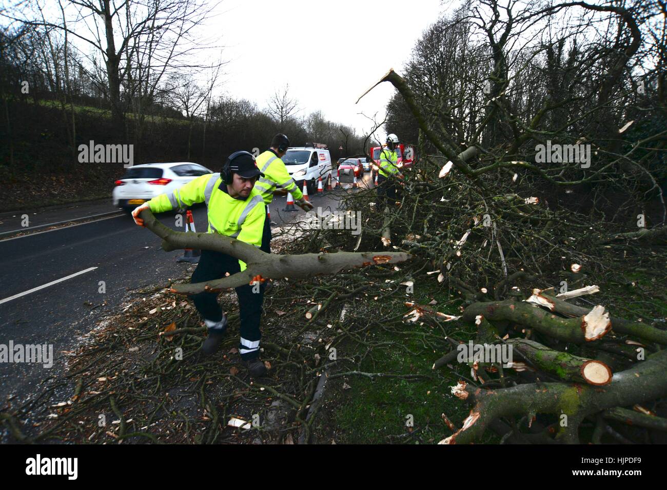 Council staff clear a tree which blew over in strong winds Stock Photo ...