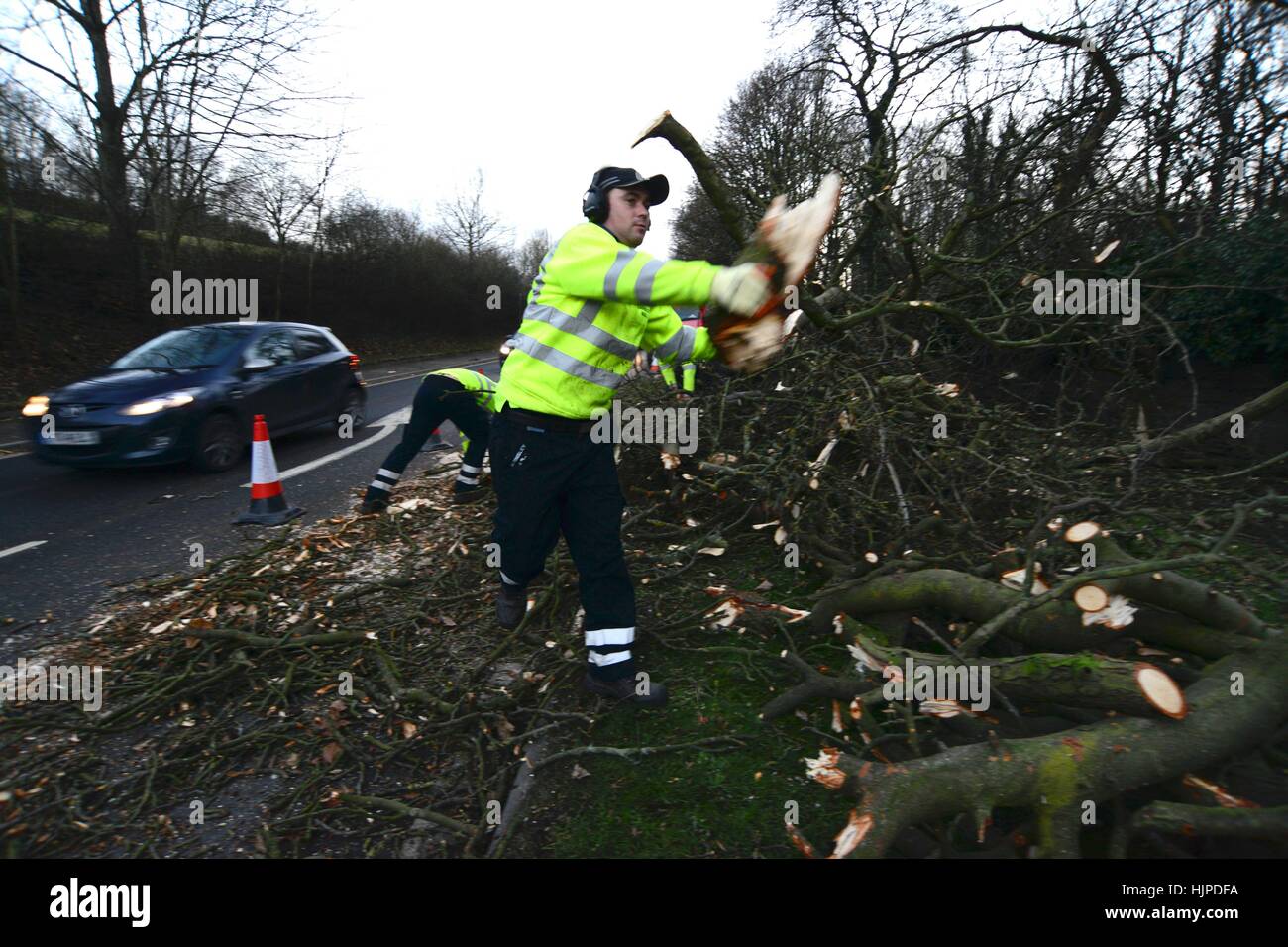 Council staff clear a tree which blew over in strong winds Stock Photo ...