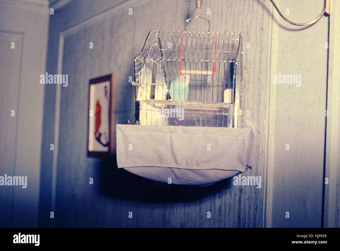 Picture window 1970 hi-res stock photography and images - Alamy