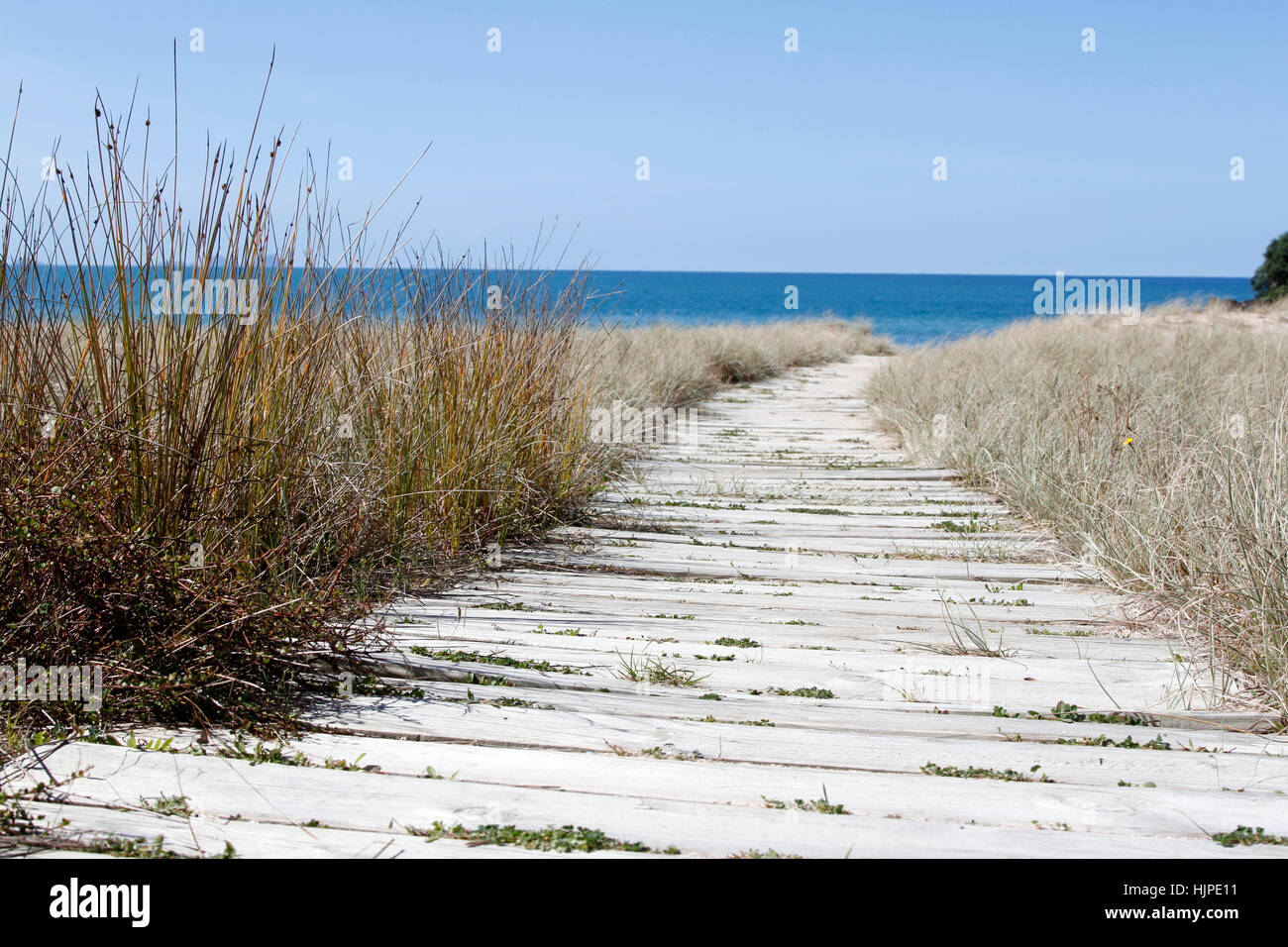Pathway leading to the beach Stock Photo - Alamy