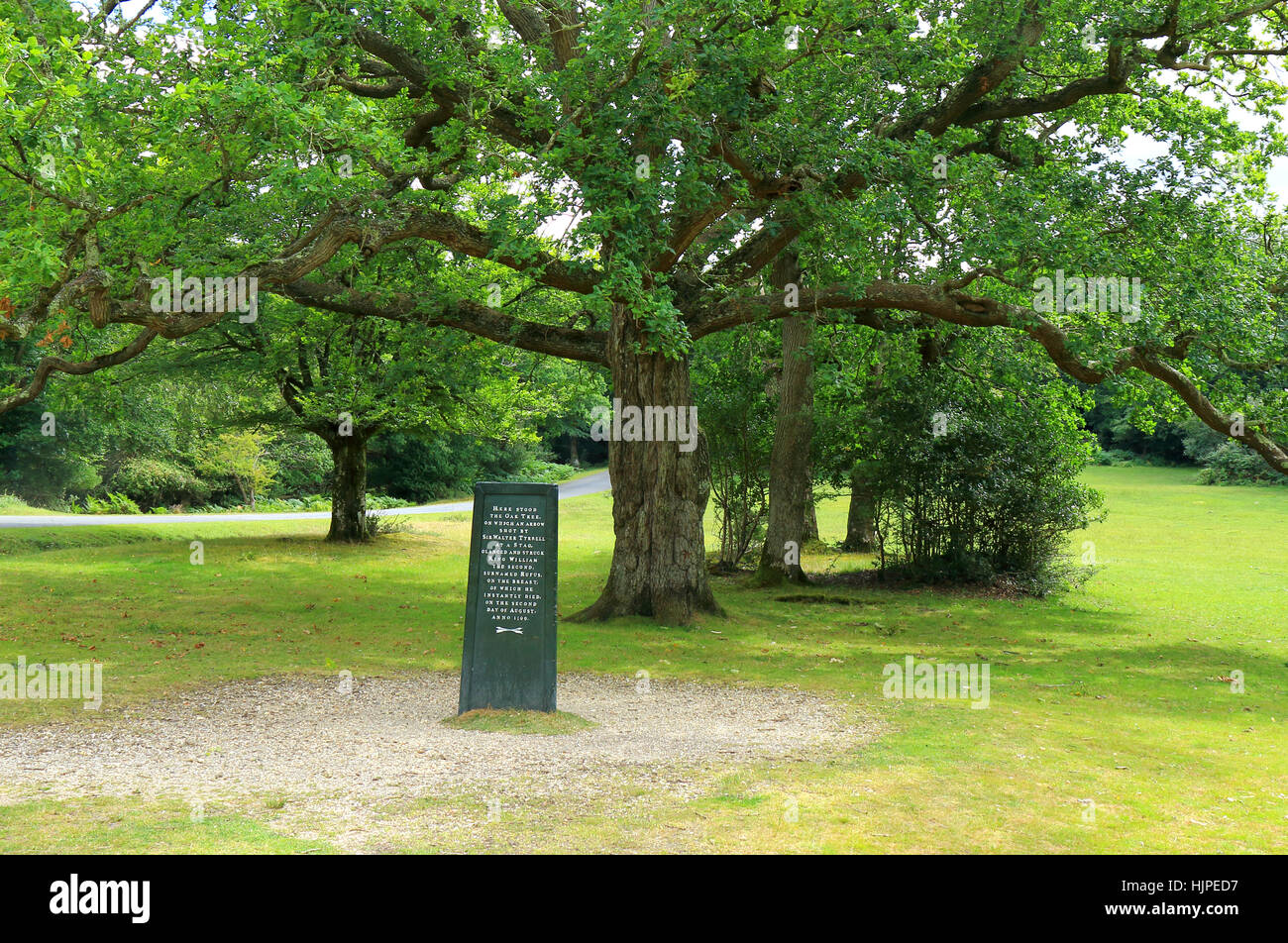Rufus stone new forest hi-res stock photography and images - Alamy