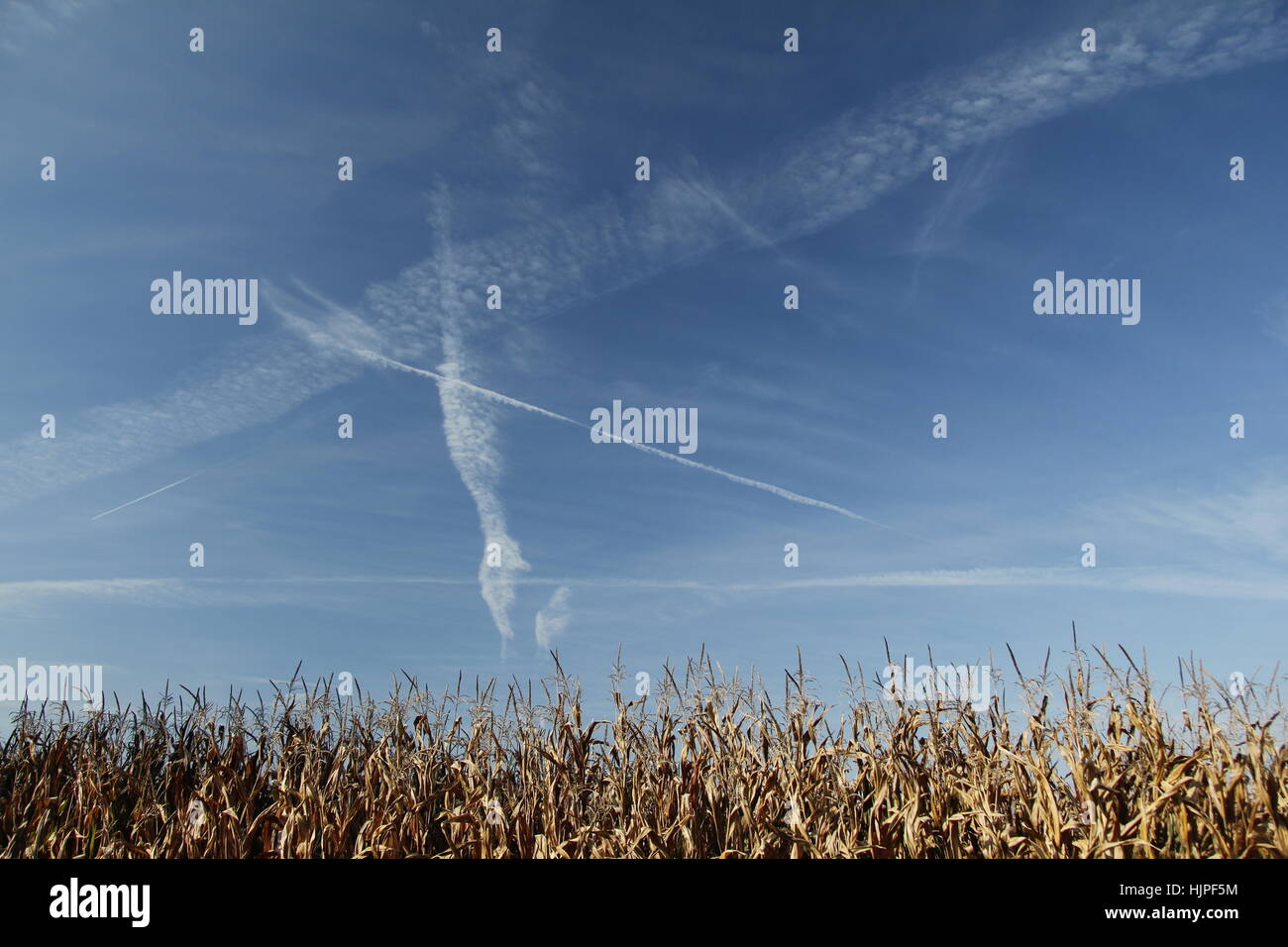 blue, corn, infinite, contrail, day, clouds, blue, corn, infinite ...