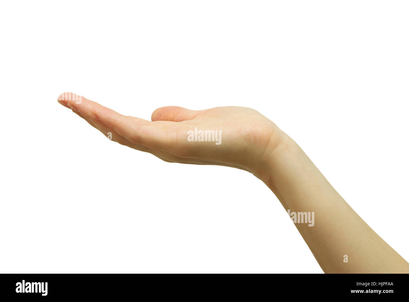 humans, human beings, people, folk, persons, human, human being, hand ...