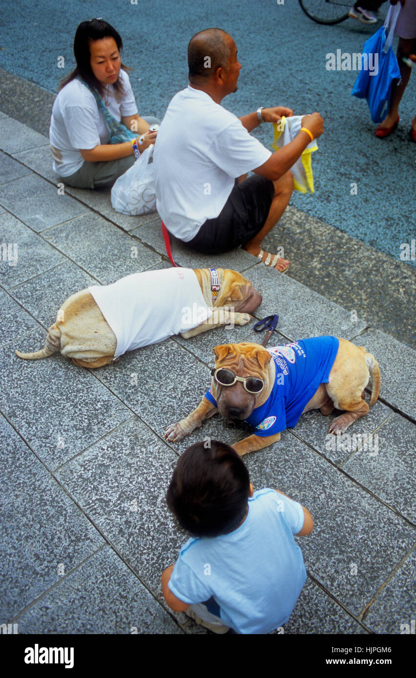 Japanese sunday afternoon hi-res stock photography and images - Alamy