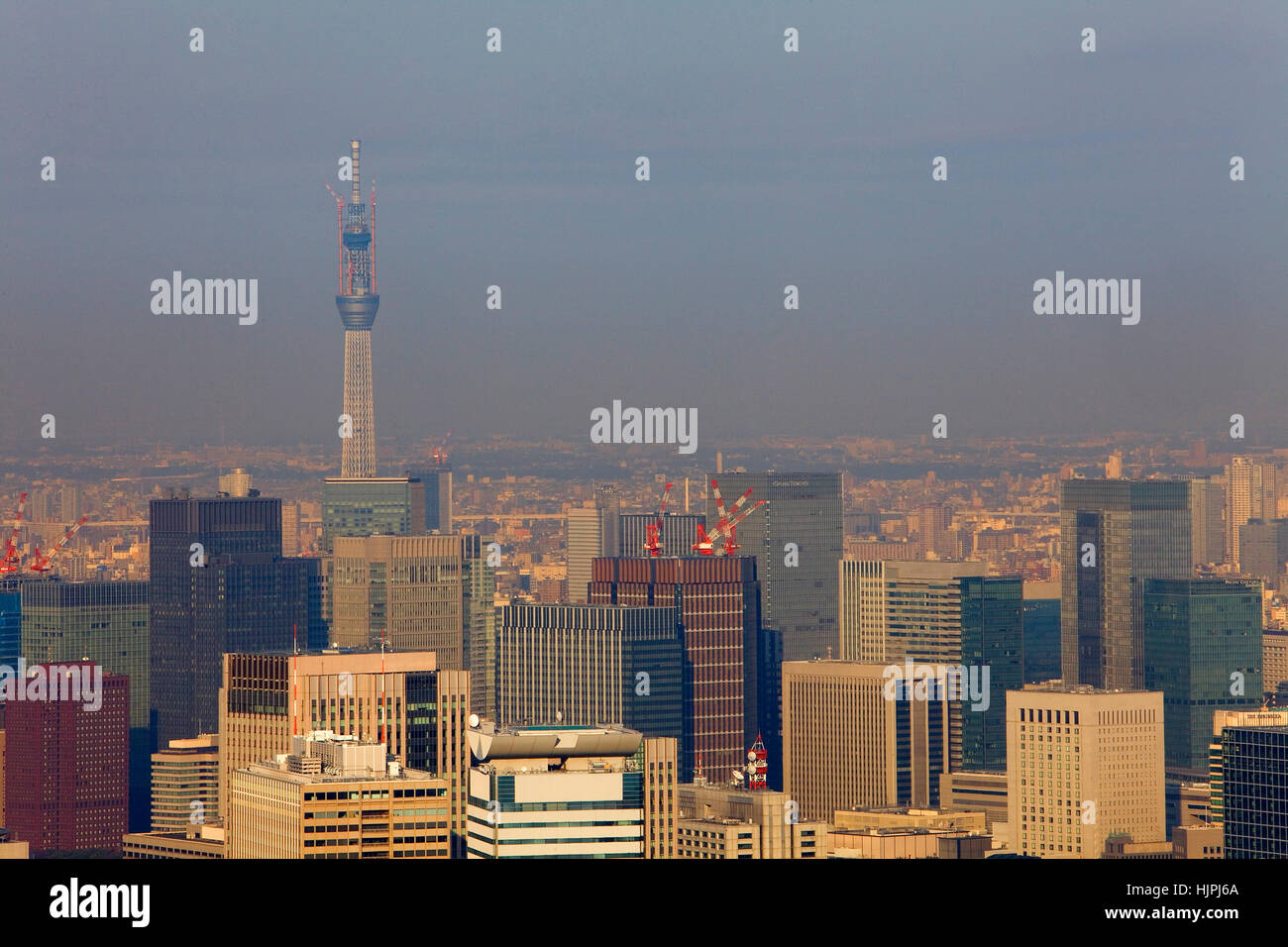 skyline at north of the city.At left the Sky Tree tower.Tokyo, Japan ...