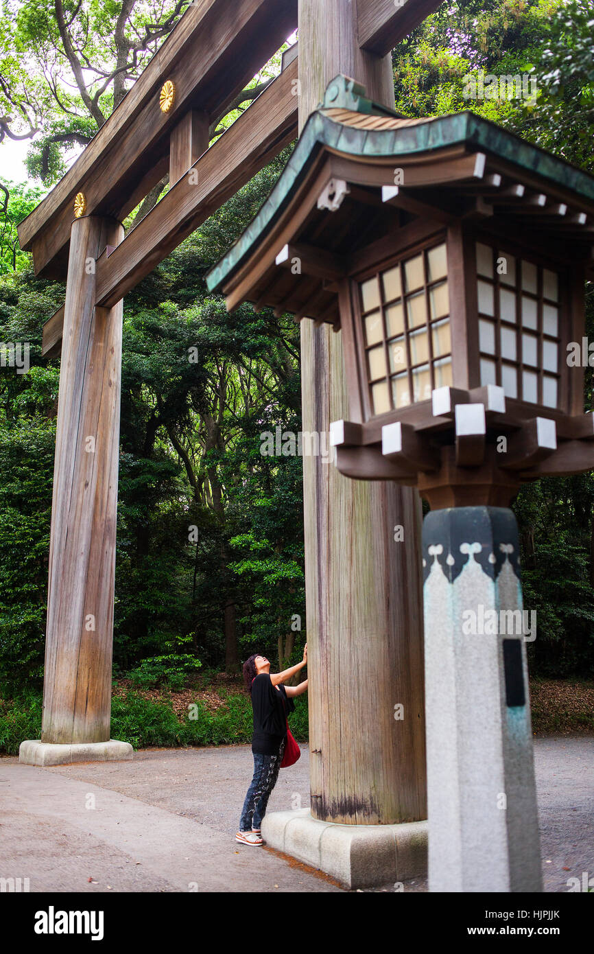 Tori gate in Sanctuary of Meiji Jingu .Tokyo city, Japan, Asia Stock ...